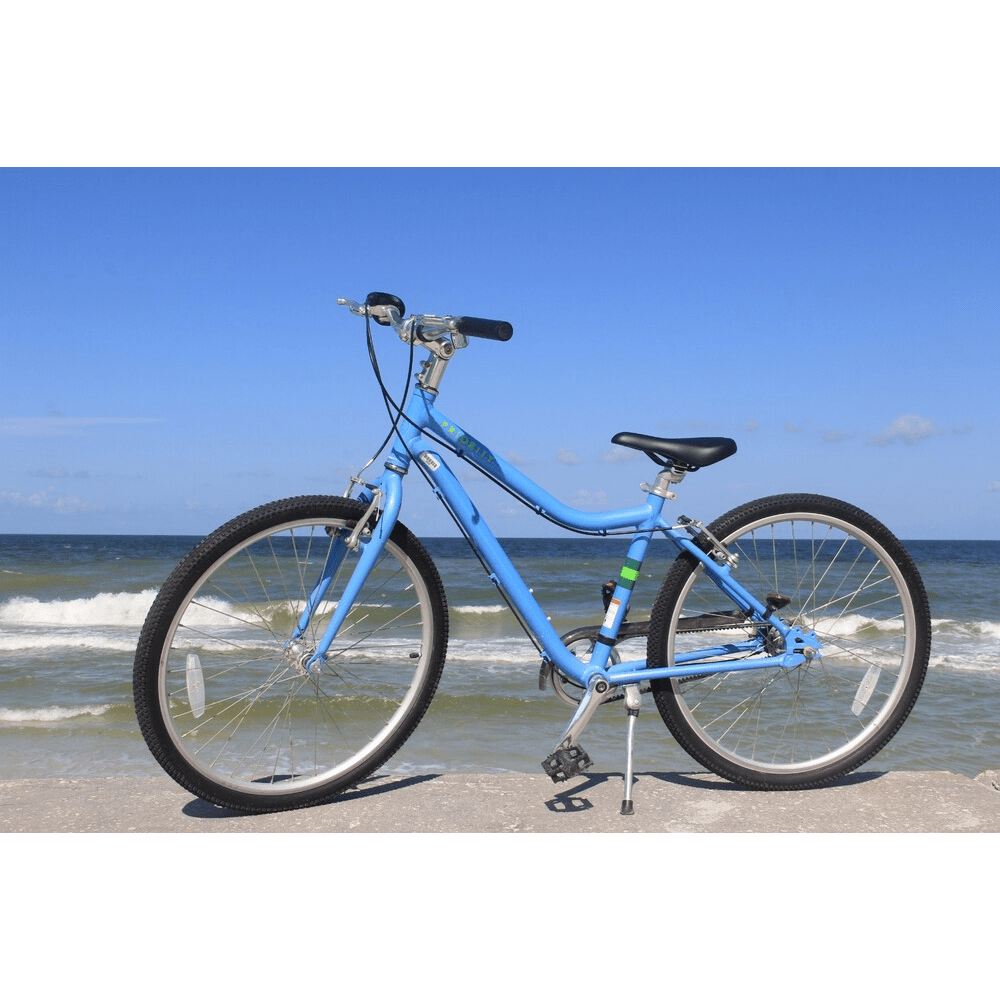 Beach Cruiser-24 inch