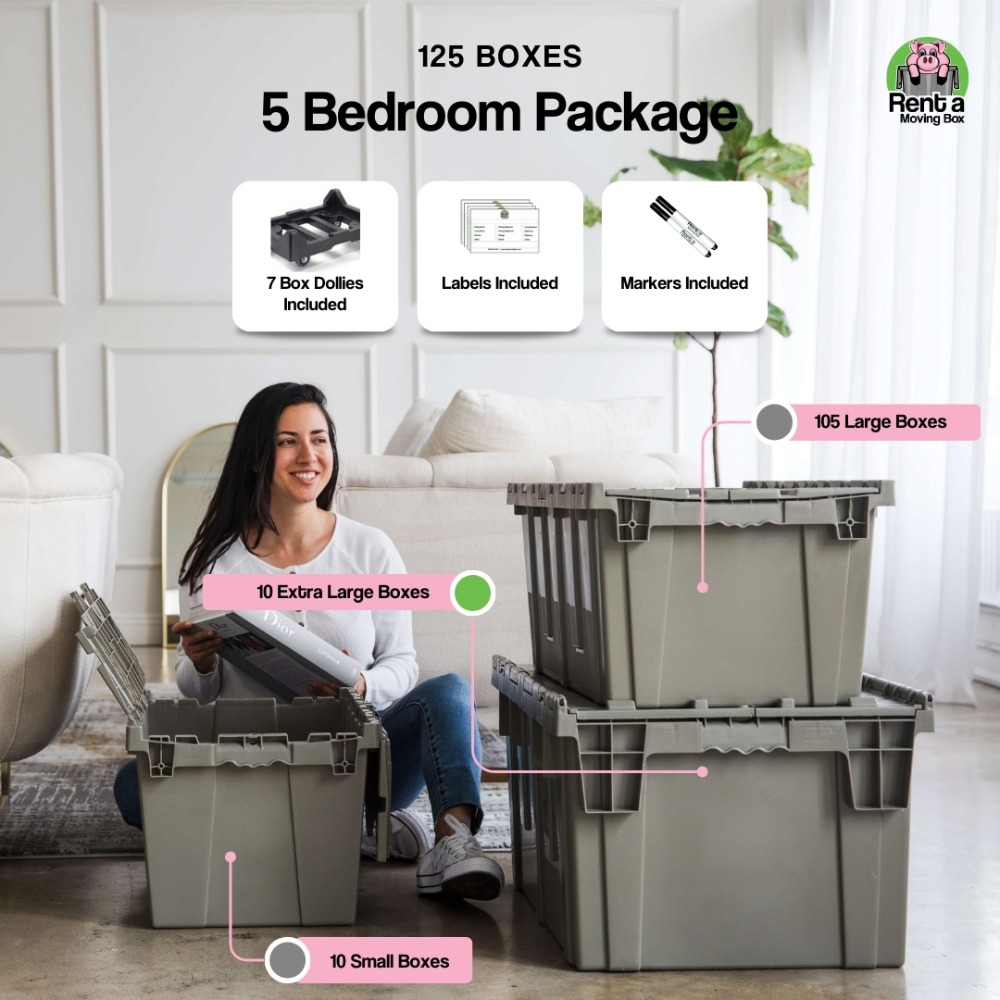 5 Bedroom Box Package