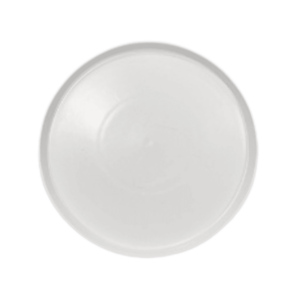 Matte White Dinner Plate with Lip (Set of 10)